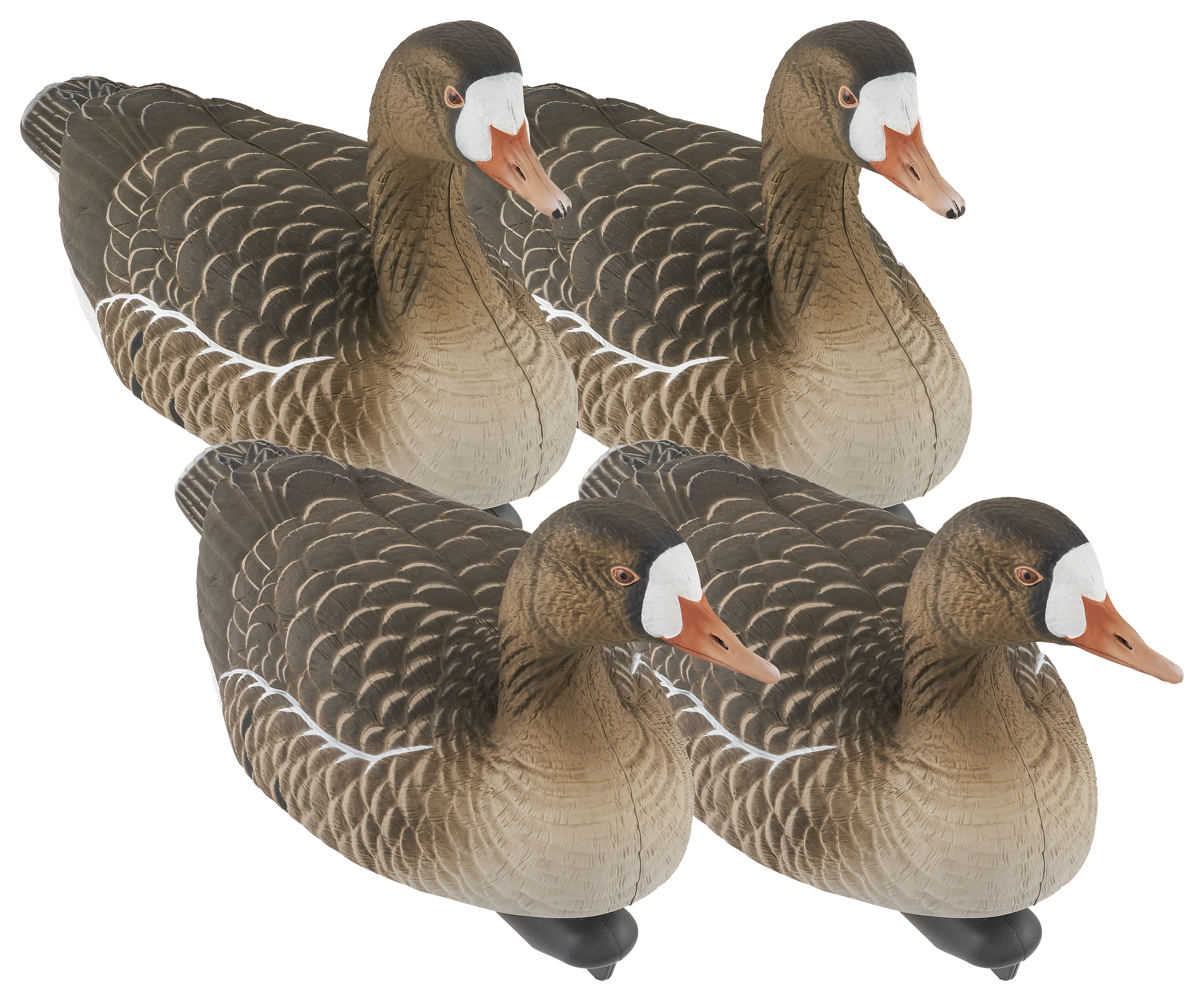 Northern Flight Big Spread Specklebelly Goose Floating Decoys 4 Pack ...